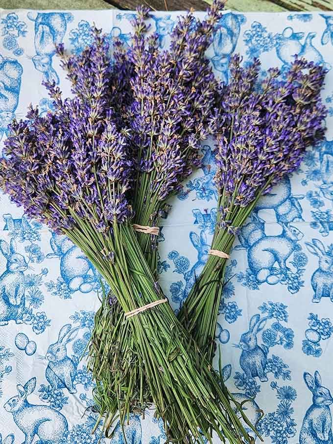 Fresh-cut lavender bundles that'll make your home smell better than any candle ever could. Trust me.