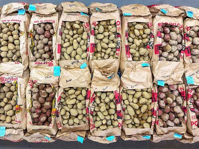 Seed potato bags stacked high promise future harvests, turning shopping into an investment in homegrown deliciousness.