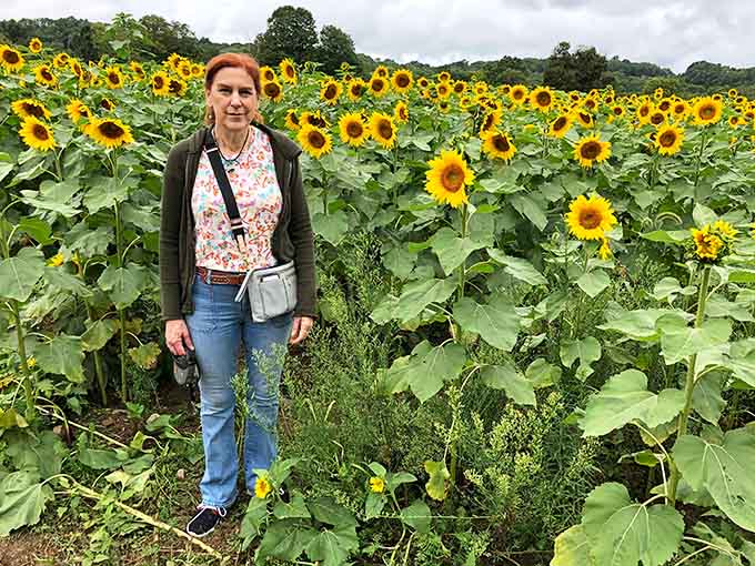 Standing among the giants, you realize these aren't your average garden-variety flowers, they're agricultural celebrities.