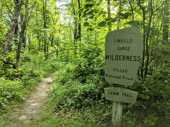 This trailhead sign marks the beginning of your journey into one of the East's last true wilderness areas.