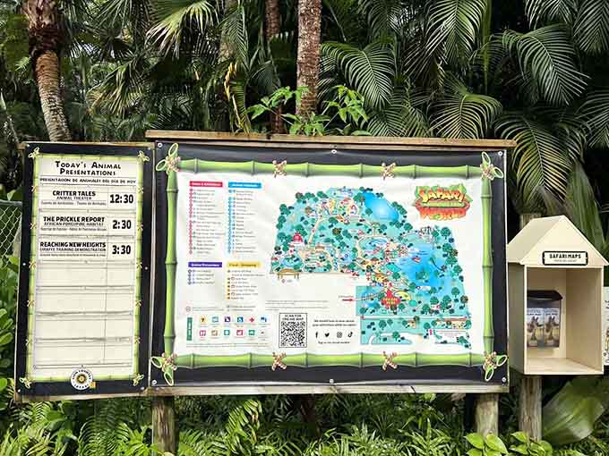 This map holds the secrets to your adventure, like a treasure map but with more rhinos involved.