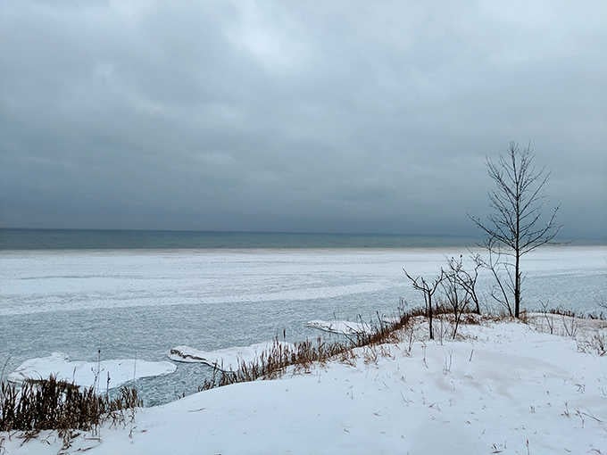 Winter transforms the preserve into a frozen wonderland, proving this place knows how to work every season like a pro.