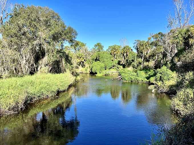 The river meanders lazily here, proving that not everything in life needs to rush toward a deadline.