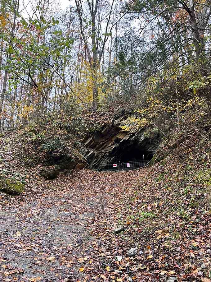 The mine tunnel entrance in fall looks mysterious and inviting, like nature's own secret doorway to treasure.