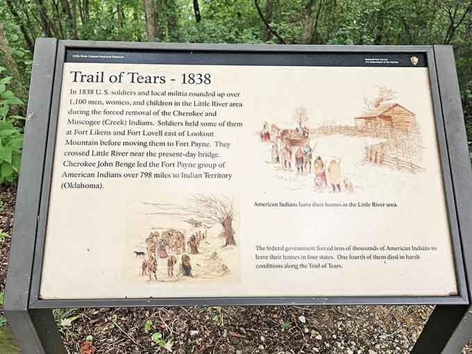 History runs deep here along the Trail of Tears, reminding us that beautiful places often carry profound stories.