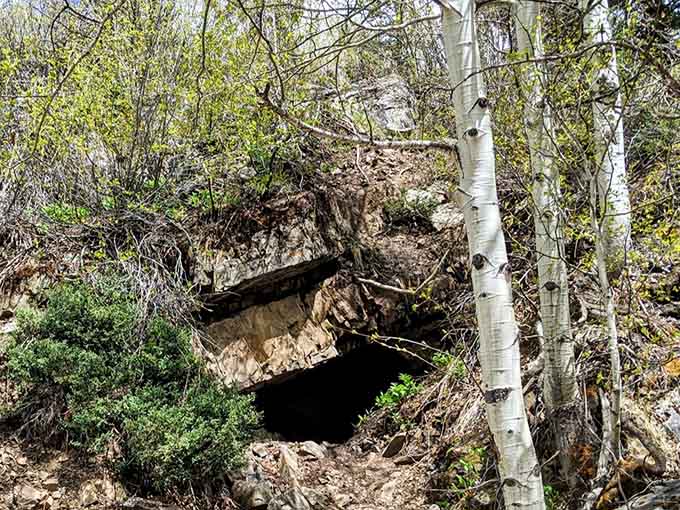 Nature's own little hideaway carved right into the hillside. No rent required, but bears might occasionally drop by unannounced.
