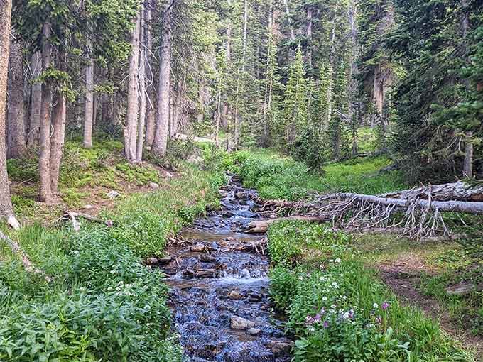 This little stream babbles along, providing the soundtrack to your hike and drowning out life's worries.