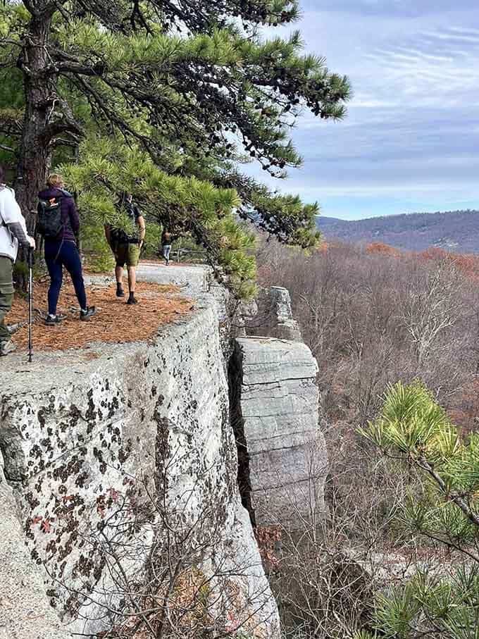 Perched on the escarpment's edge where white rocks meet endless sky, proving the best views are worth the climb.
