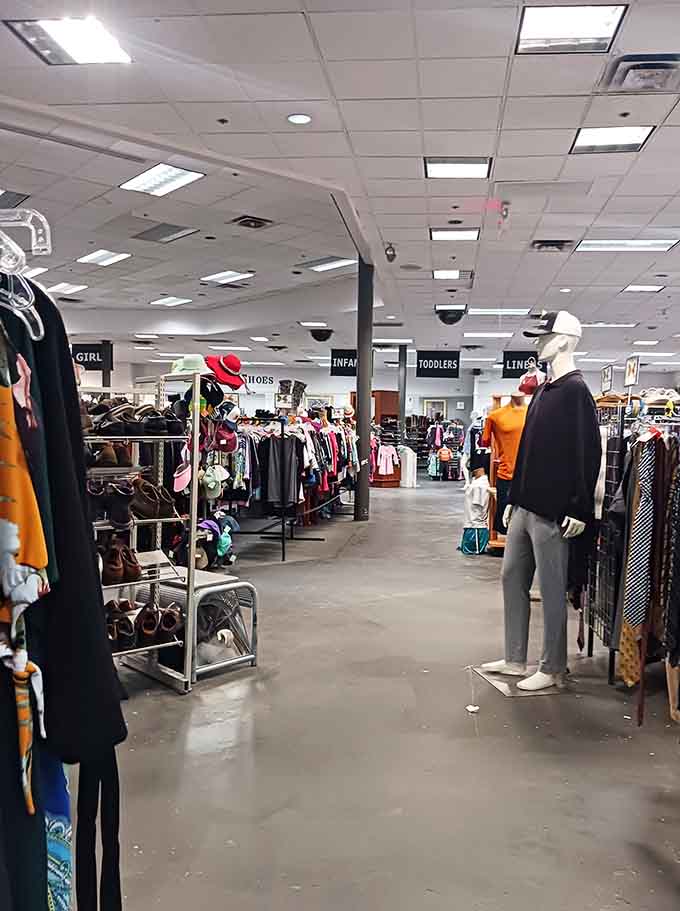 Aisles stretching into the distance like a treasure hunter's dream, organized chaos at its absolute finest.