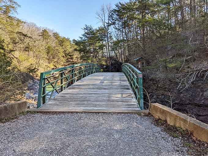 This bridge leads you deeper into the preserve, where civilization becomes a distant, slightly annoying memory.