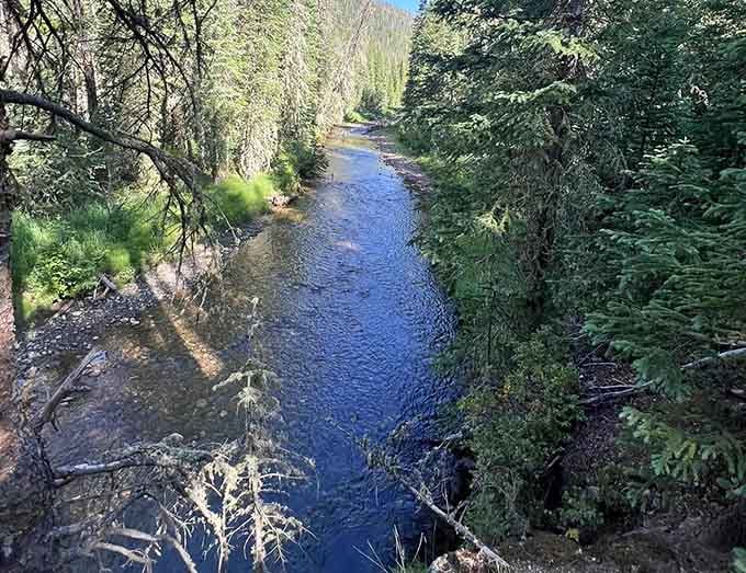 The Colorado River flows clear and cold, providing the soundtrack for your entire hiking adventure today.