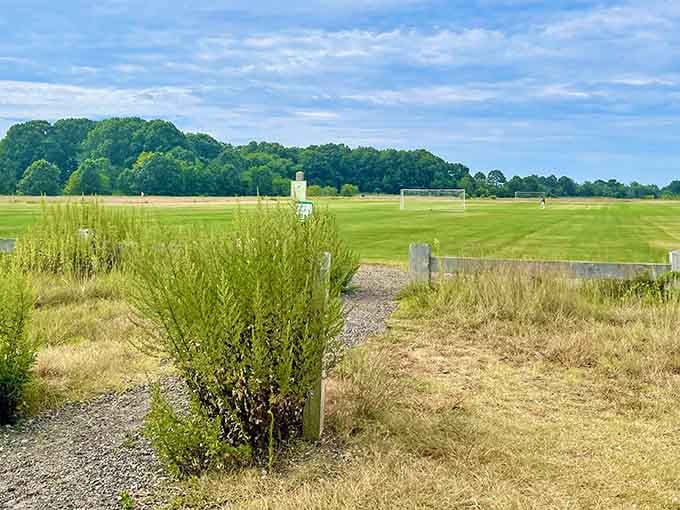 Open spaces where kids can run wild and parents can finally exhale for five blessed minutes.