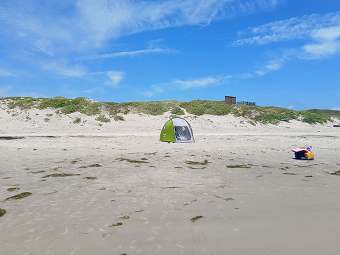 That moment when you crest the dune and see the Gulf waiting is better than any theme park entrance ever.
