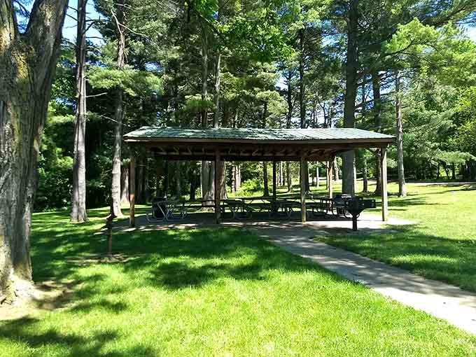 Ketchum Park offers peaceful green spaces where you can actually hear yourself think for once.