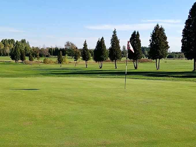 Perfectly manicured fairways stretch toward mature trees, offering affordable golf that won't require selling your firstborn.