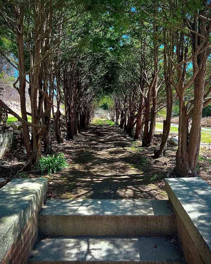 Shaded walkways offer cool relief on hot days, plus that dappled sunlight makes everyone look like a professional photographer.