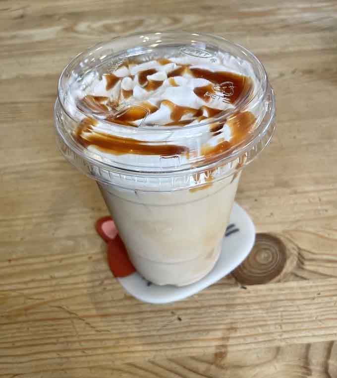 Caramel drizzle cascading over iced coffee like a sweet waterfall, making Monday mornings slightly more bearable since forever.
