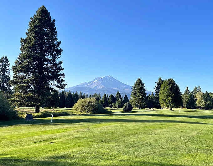 Mount Shasta dominates the landscape so completely that you'll understand why people write poetry about mountains and stuff.