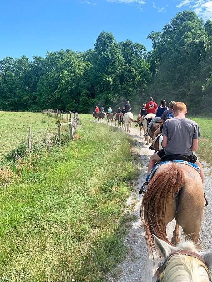 Saddle up for a trail ride that lets the horses do the walking while you enjoy views.