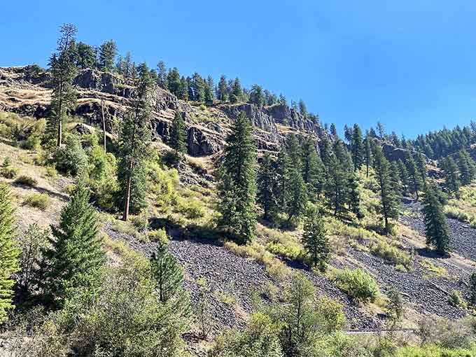 These canyon slopes tell stories of geological time that make your daily schedule feel wonderfully insignificant by comparison.