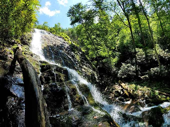 Mingo Falls crashes down 120 feet of rock face, proving that some things really do live up to the hype.