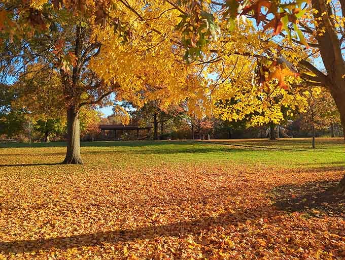 Autumn paints the park in golds and oranges that would make any professional photographer weep with joy.