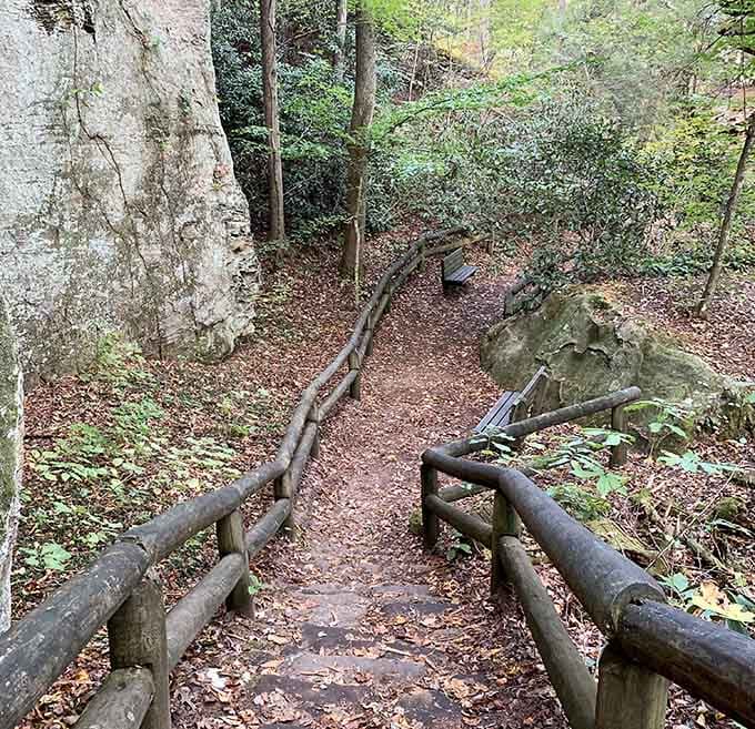Wooden stairs wind through the forest like nature's own StairMaster, minus the gym membership and fluorescent lighting overhead.