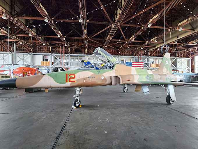 An F-5 fighter jet that looks fast even while standing completely still on the hangar floor forever.