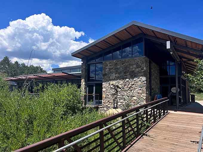 The Nederland Community Library's modern design shows this mountain town values both books and beautiful architecture equally.
