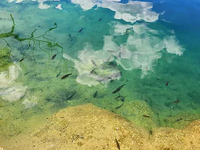 The crystal-clear water reveals fish swimming below, proving this isn't your average murky Ohio lake.