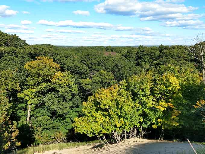 Views that stretch forever, reminding you that Michigan's got more coastline than some entire countries combined.