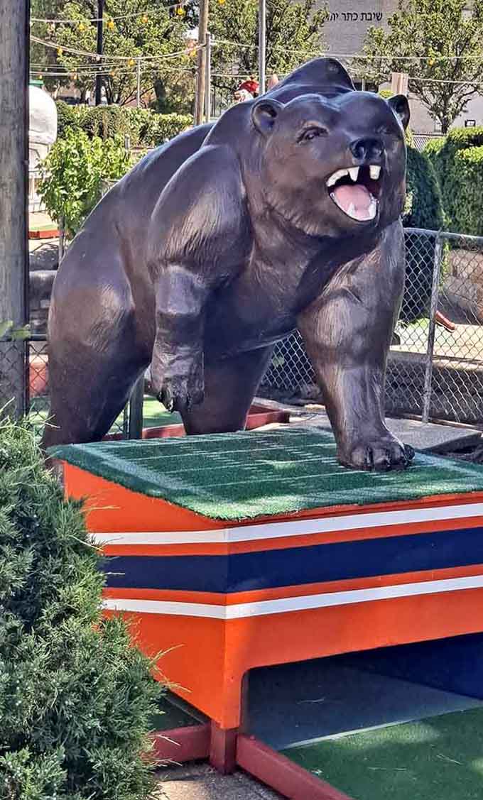 This bear looks like he's seen every missed hole-in-one and lived to tell the tale.