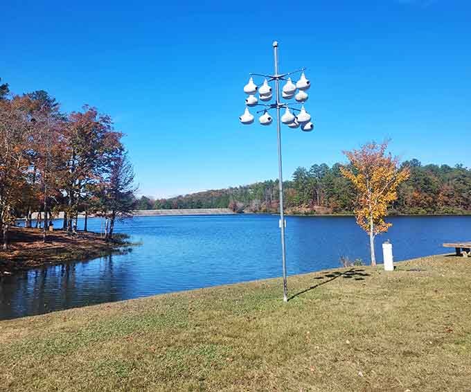 Purple martin houses stand guard over the lake like tiny apartment buildings for birds with excellent taste in real estate.