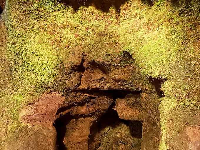 Rock formations catch the light like frozen waterfalls, testament to water's patient sculptural genius over time.
