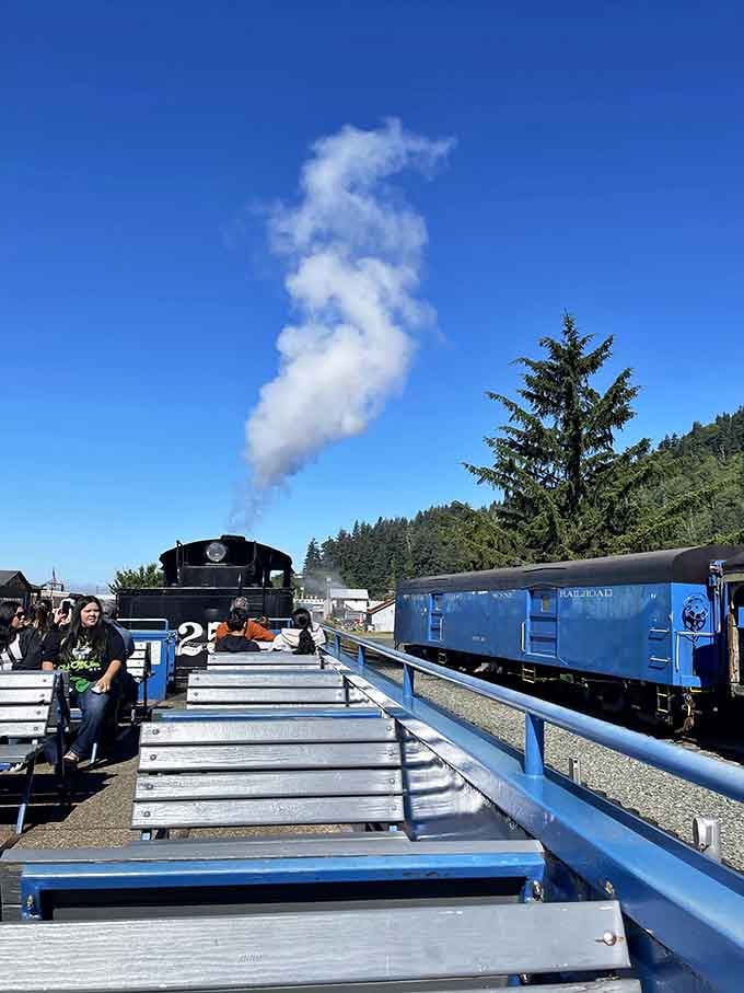 Blue benches, blue skies, and the kind of adventure that doesn't require a seatbelt or safety briefing.