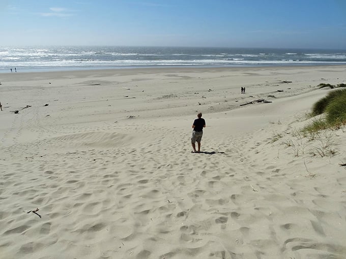 The view from the dunes to the ocean proves Oregon's coast refuses to be just one thing at a time.