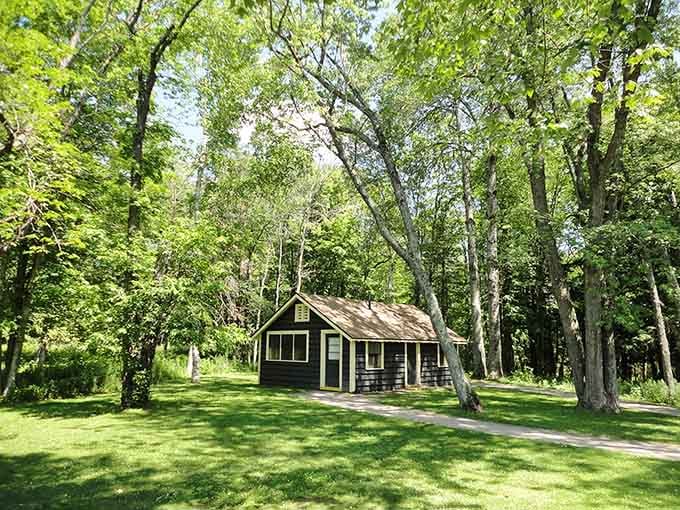 Rustic cabins nestle among towering trees, offering accommodations for those wanting to extend their spring experience.