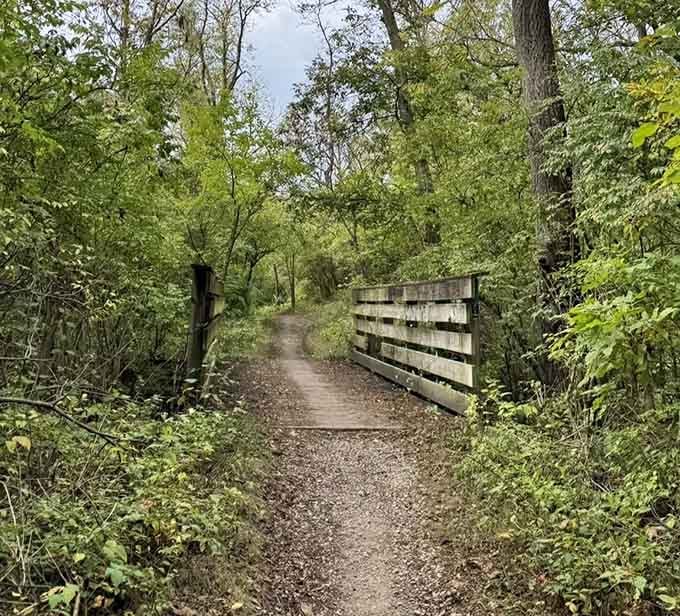 Wooden bridges add rustic charm while keeping hooves dry, because nobody enjoys soggy socks or muddy trails.