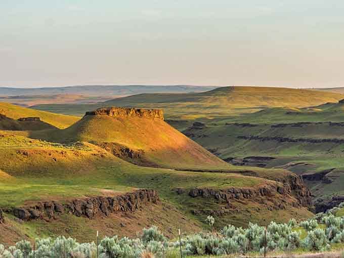 Rolling Palouse hills bathed in golden light, looking like a Windows screensaver that actually exists in real life.