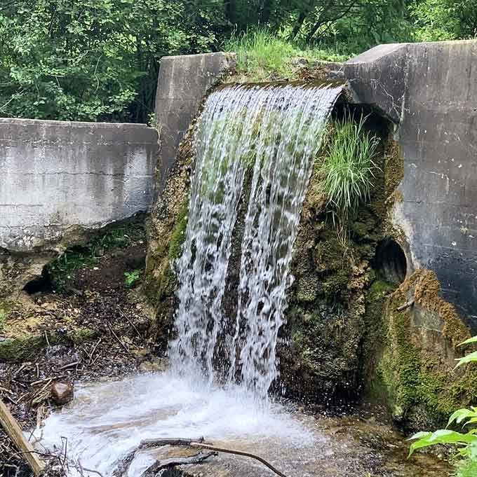 This small waterfall adds its own soundtrack to your visit, a gentle reminder that nature never stops performing.