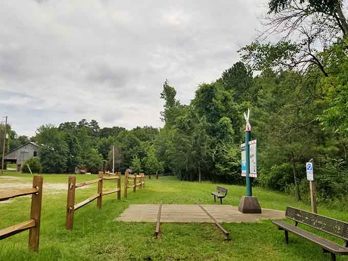 Trailside benches offer the perfect excuse to rest your legs while pretending you're just admiring the scenery.