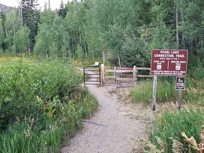 The trailhead where your peaceful adventure begins, assuming you remembered bug spray and didn't wear flip-flops again.