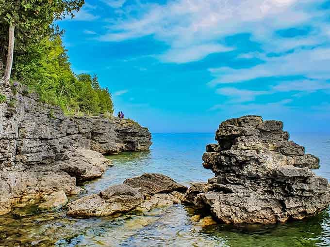 The rocky coastline creates tide pools and crevices where shorebirds hunt like tiny feathered detectives.