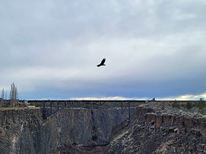 Raptors soaring through the canyon make you momentarily jealous of their commute and their view.