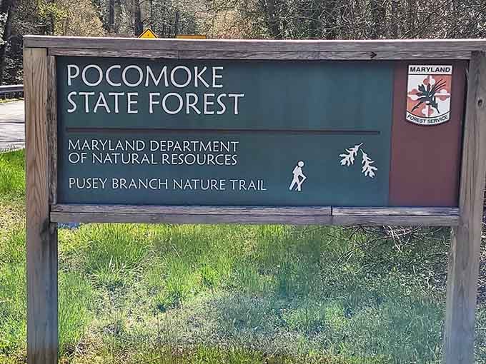 This sign marks your gateway to one of Maryland's most spectacular natural time capsules.