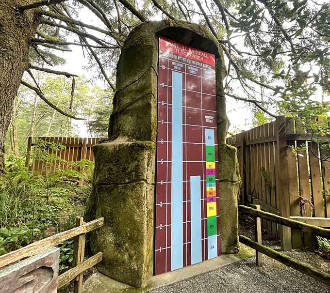 This rainfall measurement chart proves Oregon's rainforest credentials while dinosaurs lurk in the background, naturally.