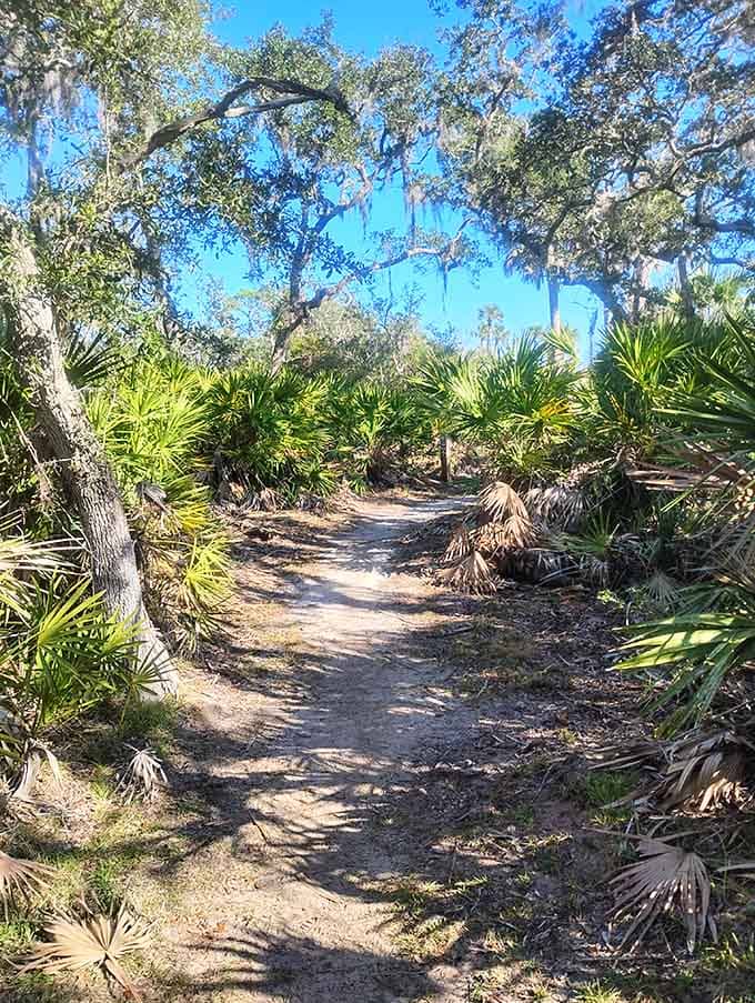 Shaded trails invite you to wander where sunlight dances through leaves and stress simply evaporates into thin air.