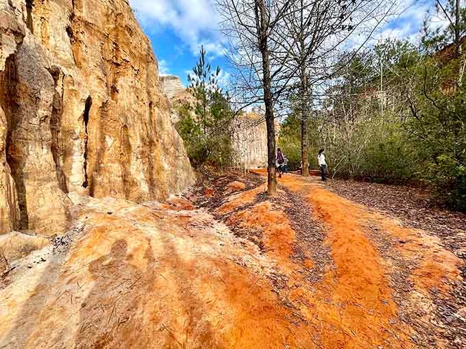 The canyon floor trail winds through formations that prove poor farming practices can accidentally create stunning landscapes.