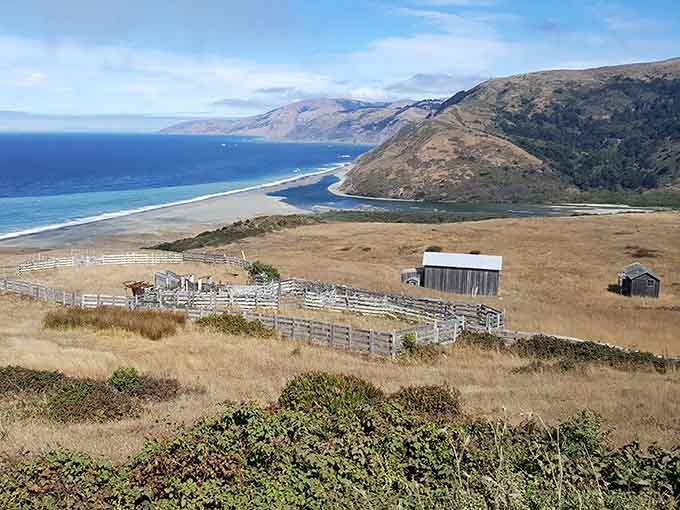 Even the nearby ranches feel abandoned, adding to the Lost Coast's reputation as California's most remote region.