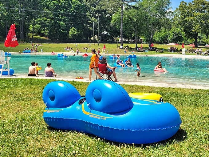 That inflatable tube is living its best life, and honestly, we should all aspire to that level of relaxation.